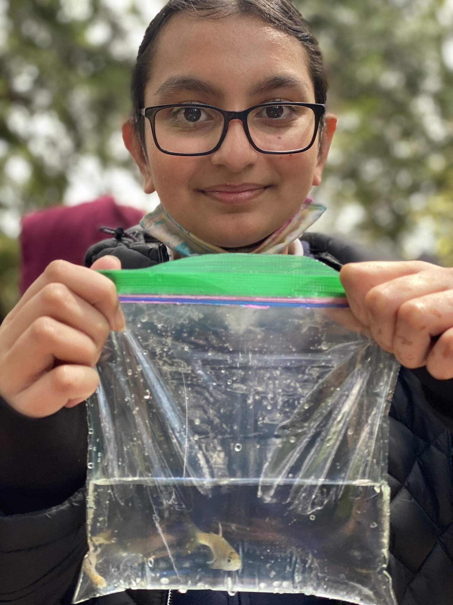 Gr 5 Salmon Project | Harry Sayers Elementary